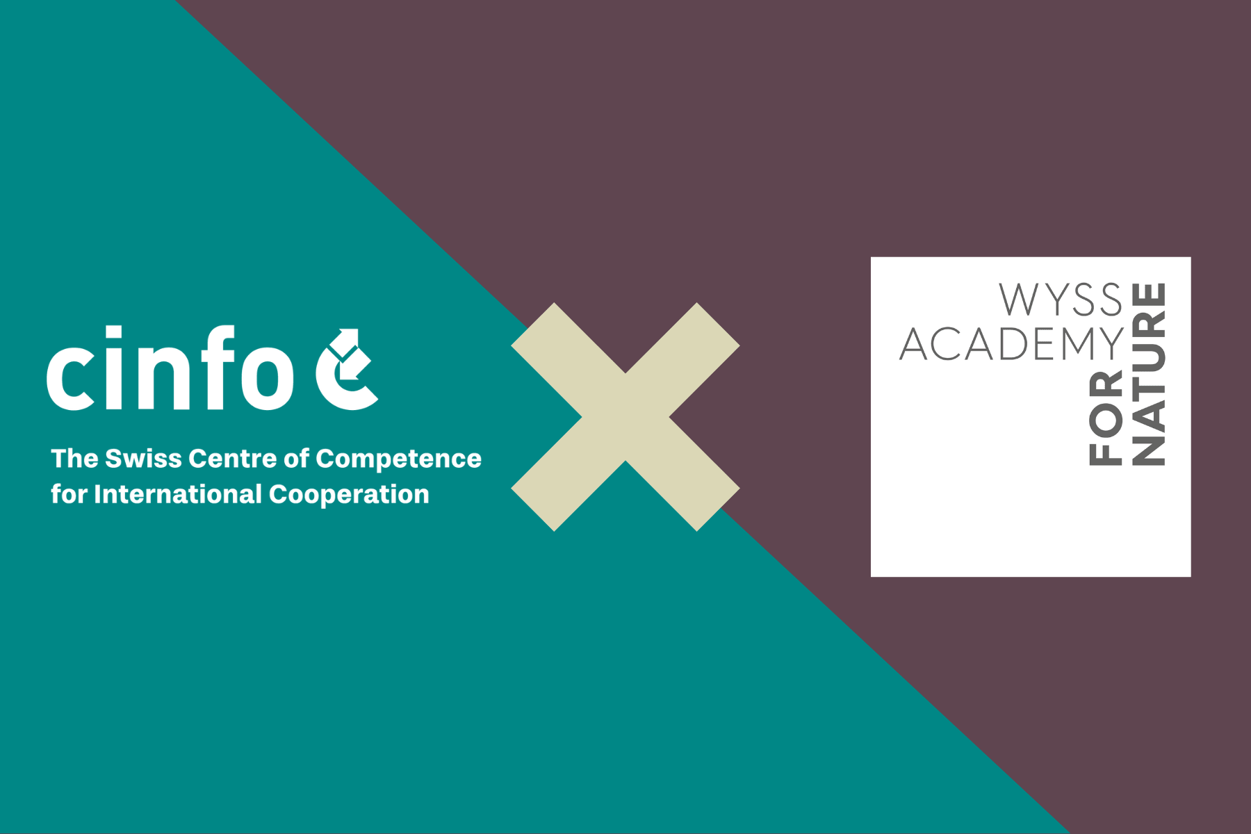 Karrieren in der internationalen Zusammenarbeit | Internationale ...