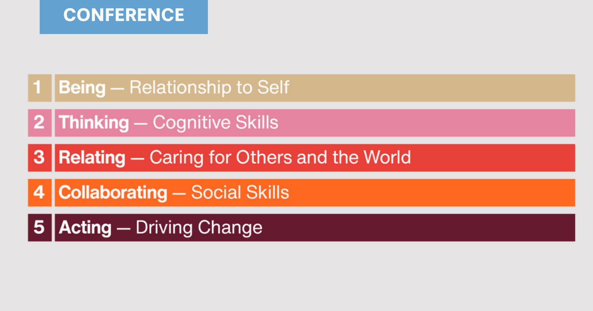 Using the Inner Development Goals to reach the SDGs – what kind of ...