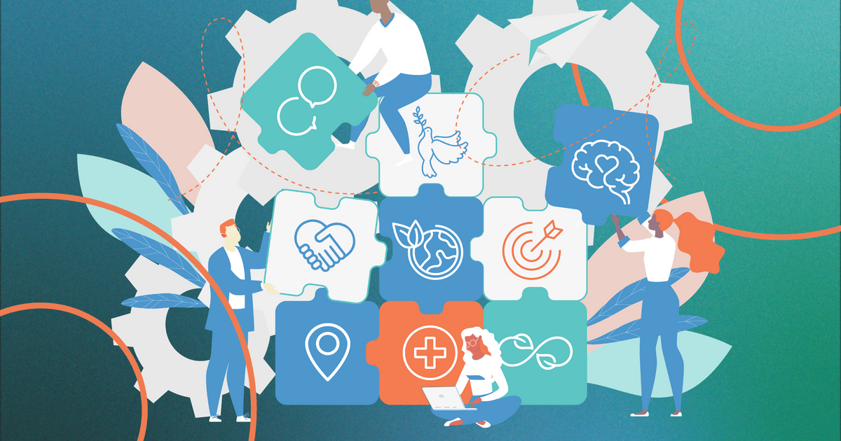 The Adapting Role of Global North Professionals in International ...